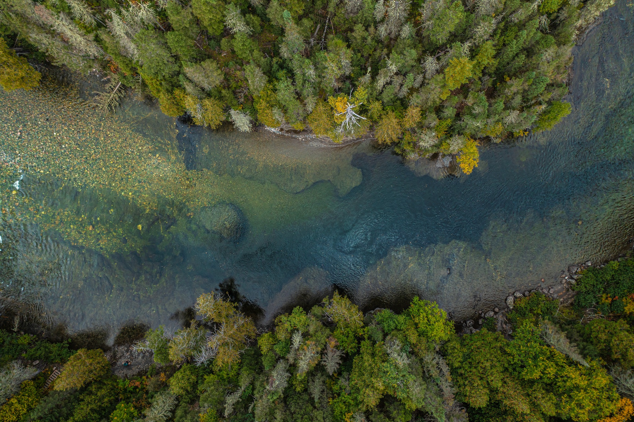 Le projet d'aire protégée de la Rivière Petit-Pabos - 96.3